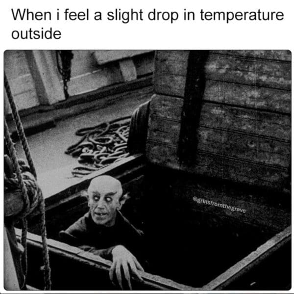 Vampire Memes: 30 Fangy Memes for Spooky Halloween Vibes