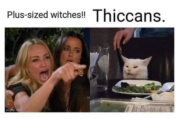 Witch Memes: 35 Memes for Witchy Vibes This Halloween