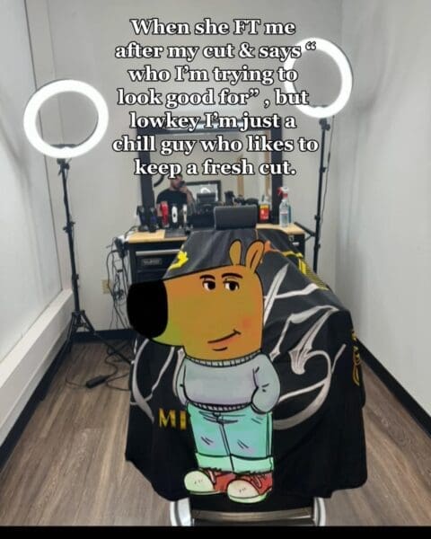 Im Just a Chill Guy Memes: 20 Hits of the New Trend