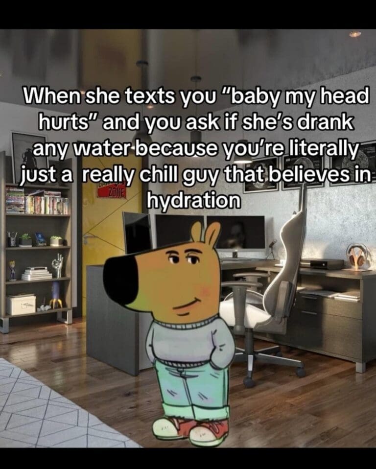 Im Just a Chill Guy Memes: 20 Hits of the New Trend