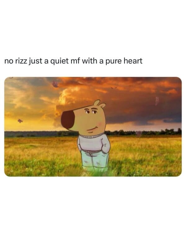 Im Just a Chill Guy Memes: 20 Hits of the New Trend