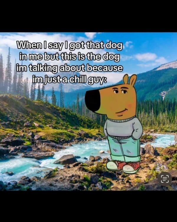 Im Just a Chill Guy Memes: 20 Hits of the New Trend