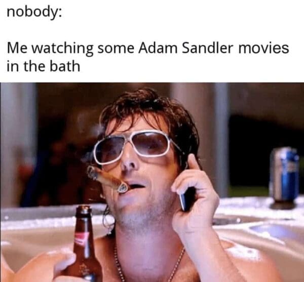 Adam Sandler Memes: 40 Nostalgic Sandler Movie Memes