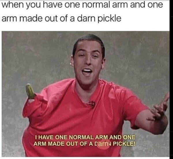 Adam Sandler Memes: 40 Nostalgic Sandler Movie Memes