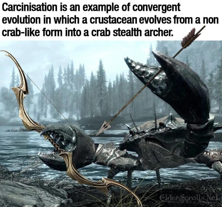 Crab Memes: 40 Hilariously Weird Gems About CRABS