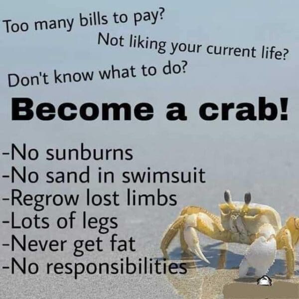 Crab Memes: 40 Hilariously Weird Gems About CRABS