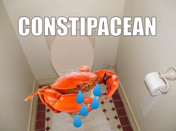 Crab Memes: 40 Hilariously Weird Gems About CRABS