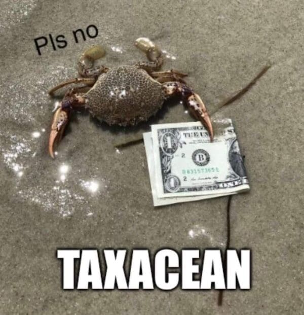 Crab Memes: 40 Hilariously Weird Gems About CRABS