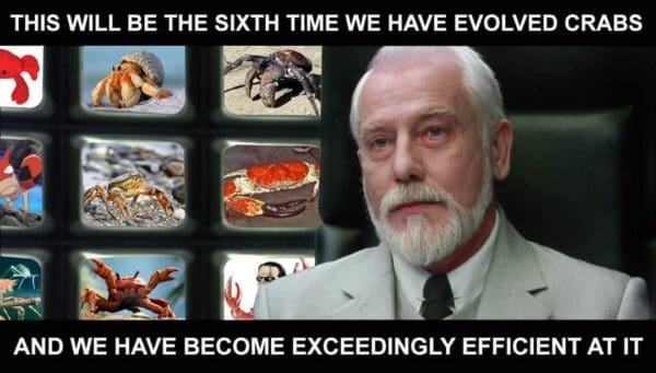 Crab Memes: 40 Hilariously Weird Gems About CRABS