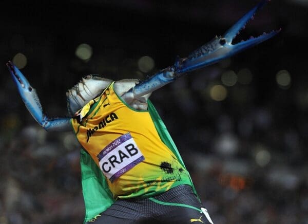 Crab Memes: 40 Hilariously Weird Gems About CRABS