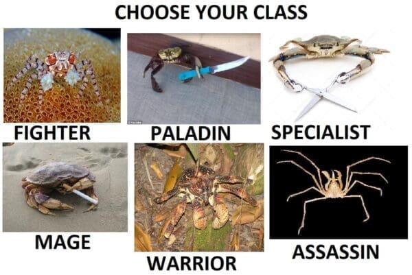 Crab Memes: 40 Hilariously Weird Gems About CRABS