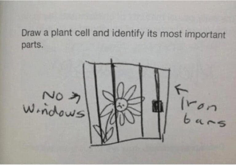 35 Funny Kid Test Answers That Are Wrong in All the Right Ways
