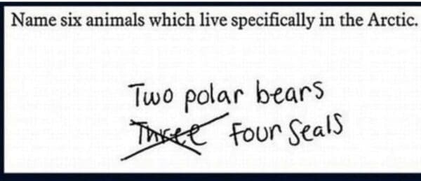 35 Funny Kid Test Answers That Are Wrong in All the Right Ways