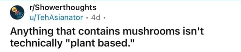 Funny Shower Thoughts: 35 Dumb Ponderings