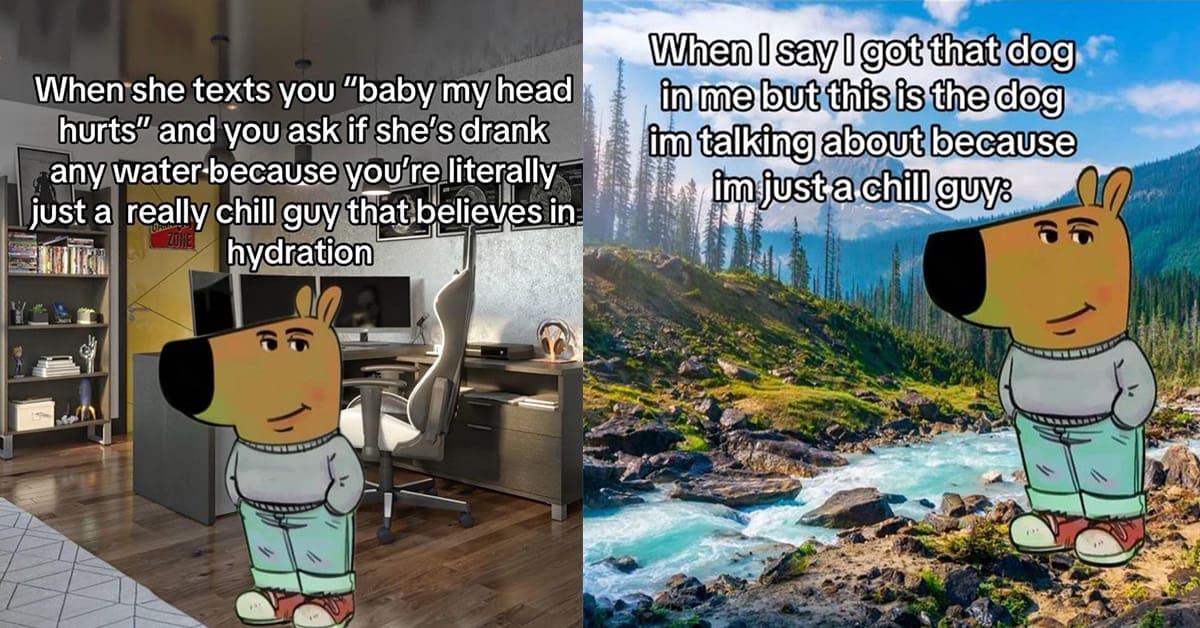 Im Just a Chill Guy Memes: 20 Hits of the New Trend