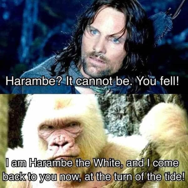 LoTR Memes: 39 Memes To Rule Them All