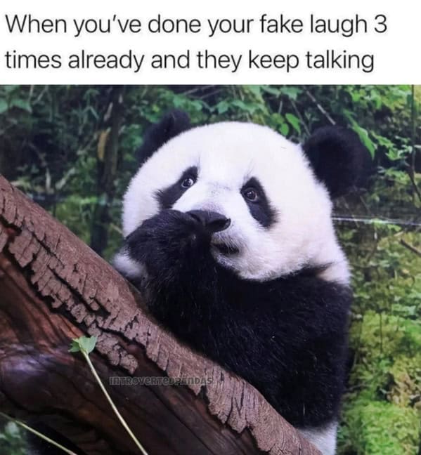 38 Hilarious Panda Memes Perfect for Introverts Everywhere