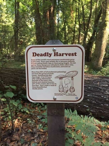 Spooky Signs: 45 Signs With Threatening Auras