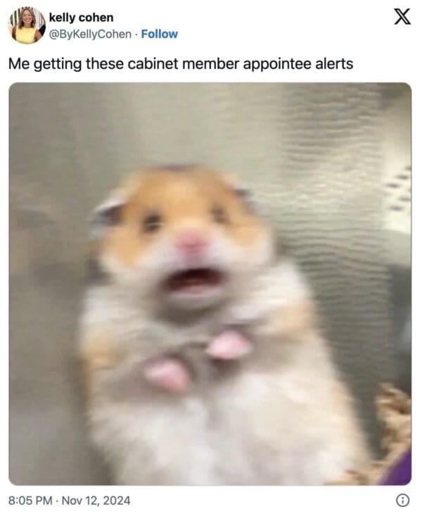 Trump Cabinet Memes: 35 Reactions to The Announcements