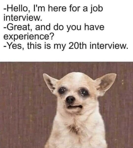 Job Hunting Got You Down? Here Are 36 Hilarious Unemployment Memes