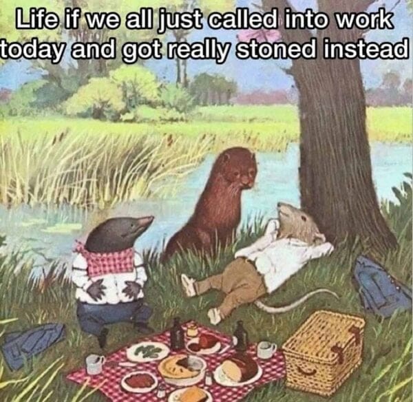 Existential Memes: 41 Memes to Accompany Your Cosmic Shrug