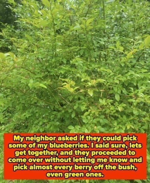 Funny Neighbor Memes: 45 Nightmare Neighbors