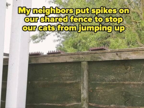 Funny Neighbor Memes: 45 Nightmare Neighbors