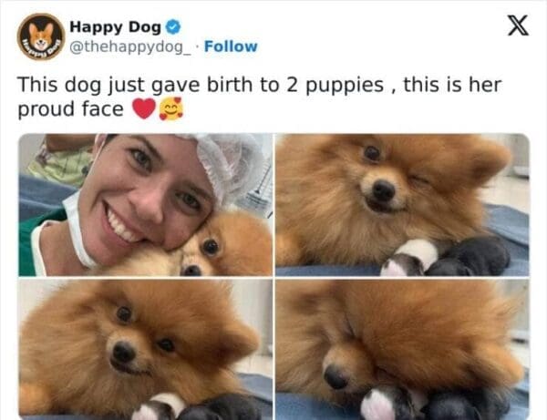 40 Honest Memes Every Woman Will Instantly Relate To