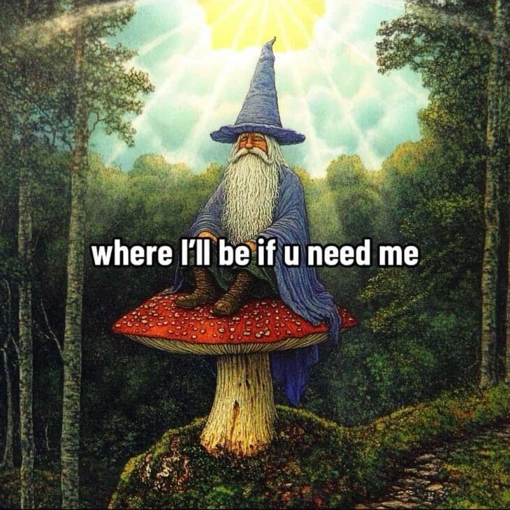 Wizard Memes: 28 Silly Memes For Your Spellbook