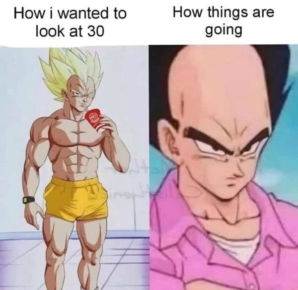 Anime Memes: 40 Gems Full of Subs and Dubs