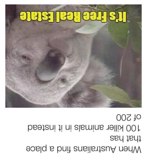 35 Times Aussie Memes Made Us Laugh (and Crave Vegemite)