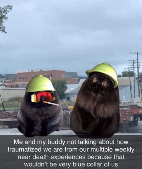 37 Sidesplitting Construction Workers Memes to Hammer Home the Humor