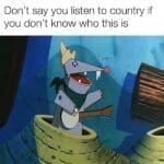 30 Hilarious Country Music Memes for the Redneck at Heart