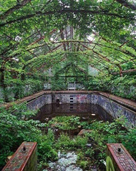 Explore the Haunting Beauty of 28 Creepiest Pool Rooms
