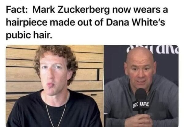 Facebook Fact Checking Memes: 15 Reactions to Zuck's News