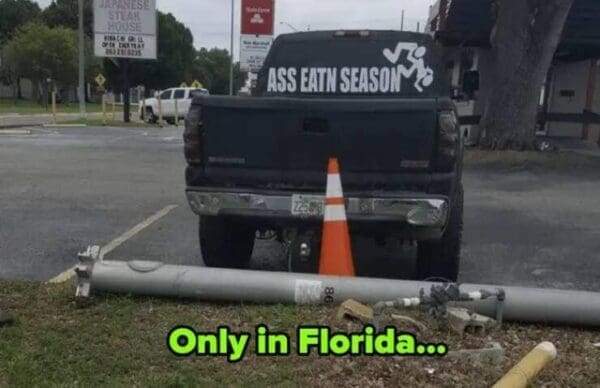 42 Funny Dumb Photos That Will Test Your Juvenile Sense of Humor