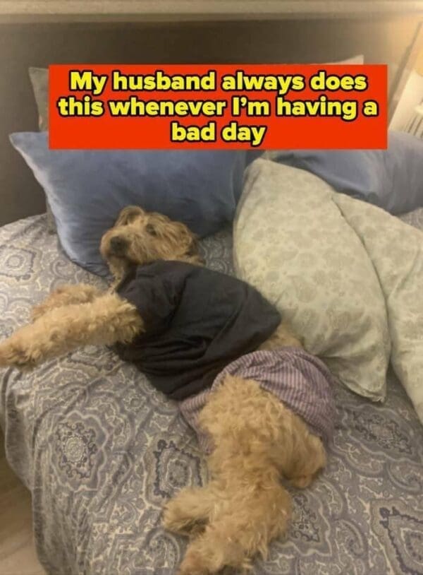40 Funny Marriage Memes That Capture Wedded Bliss (and Chaos)