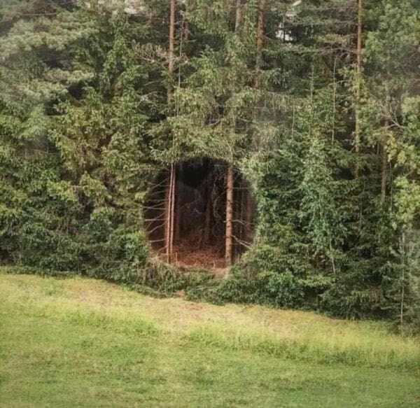 Liminal Spaces: 24 Pics That Quietly Haunt Your Daydreams
