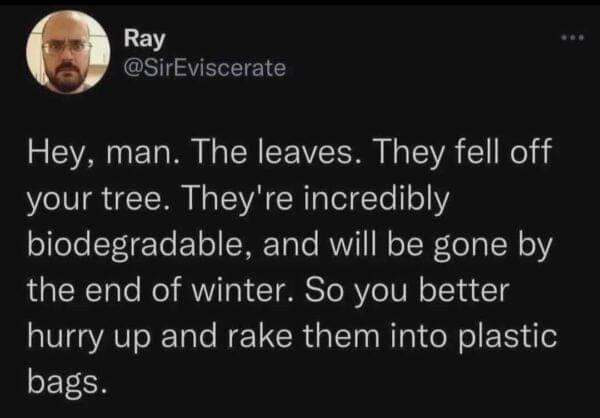 Oddly Specific Memes: 39 Weirdly Relatable Niche Memes