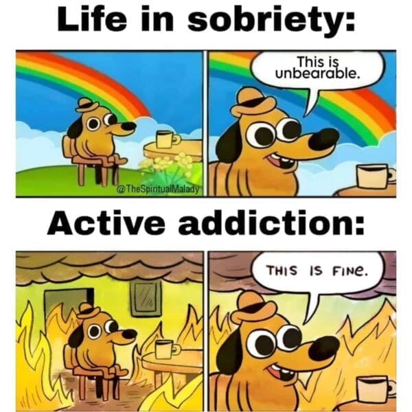 48 Darkly Funny Addiction Memes to Lighten a Very Heavy Topic