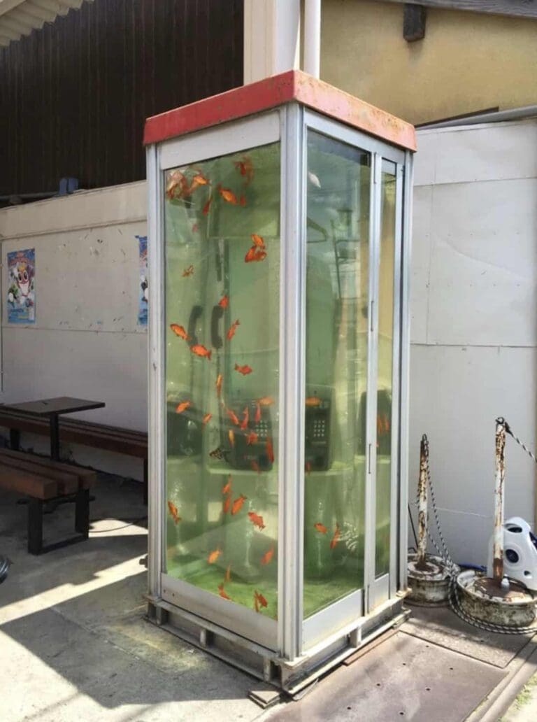 25 Cool Fish Tanks So Extra, Even The Fish Are Confused