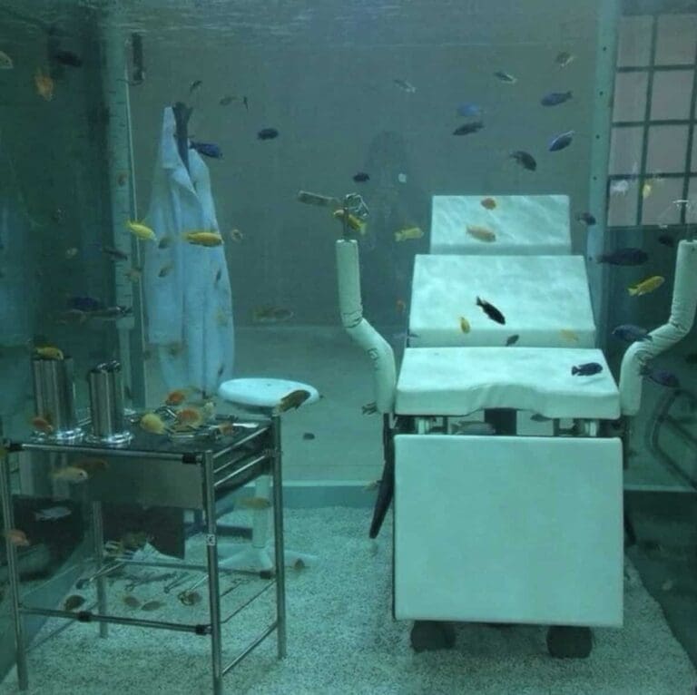 25 Cool Fish Tanks So Extra, Even The Fish Are Confused