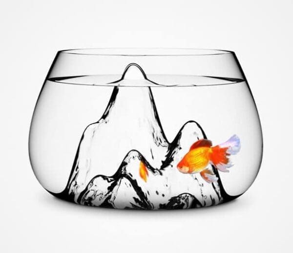 25 Cool Fish Tanks So Extra, Even The Fish Are Confused