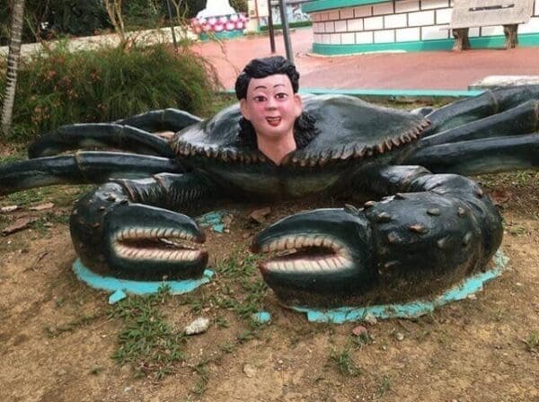 Cursed Images: 30 Pics You Can't Unsee