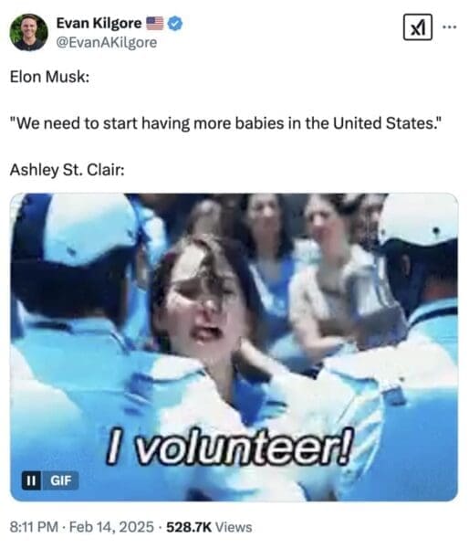 Elon Musk Baby Mama Memes: 25 New Baby Scandal Reactions