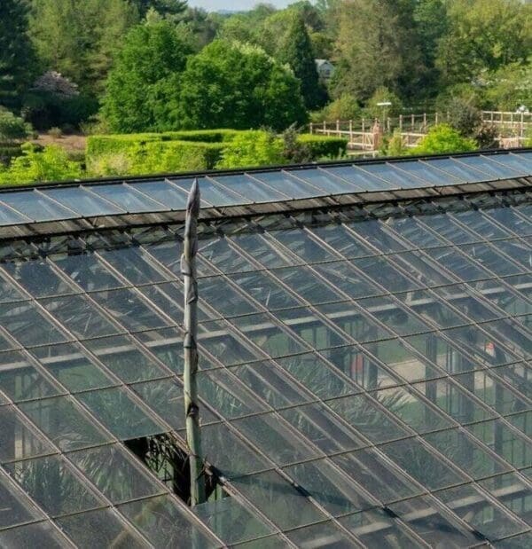 49 Funny Gardening Pics That Grow More Laughs Than Plants