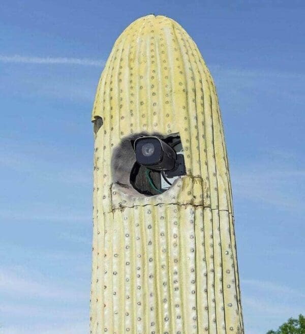 49 Funny Gardening Pics That Grow More Laughs Than Plants