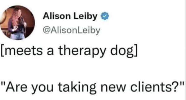 38 Funny Therapy Memes That Show Healing Can Have a Sense of Humor