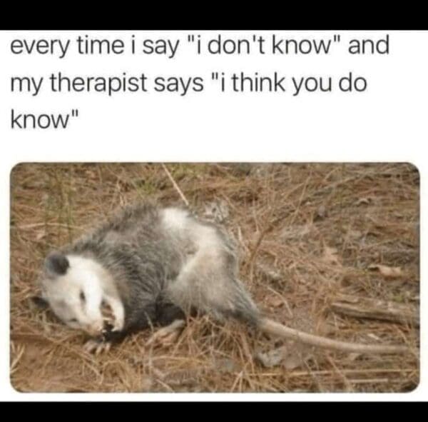 38 Funny Therapy Memes That Show Healing Can Have a Sense of Humor