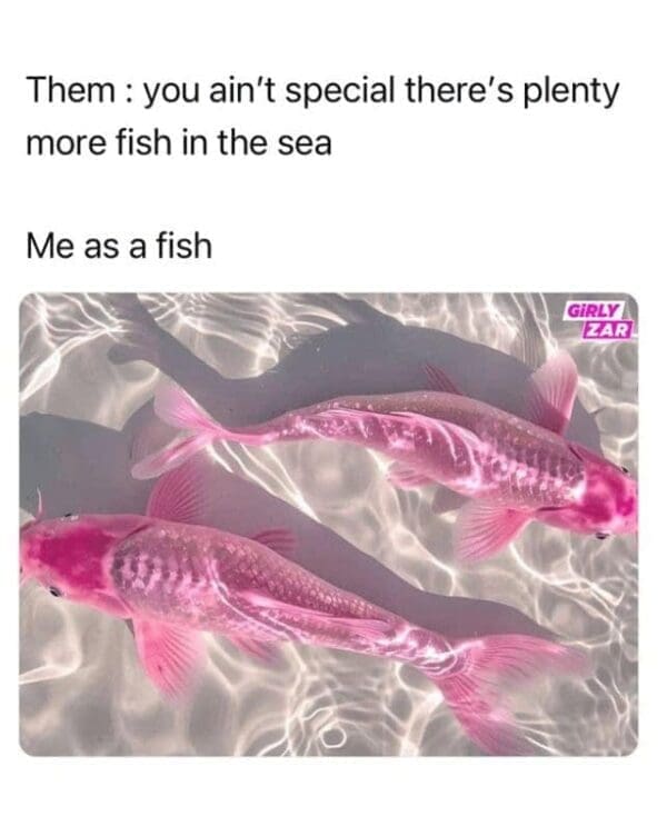 Girl Memes: 35 Funny Memes For The Girlies